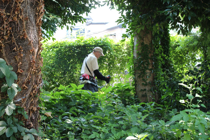 令和6年度環境支援ボランティア（学校環境整備活動） :: Tkrf